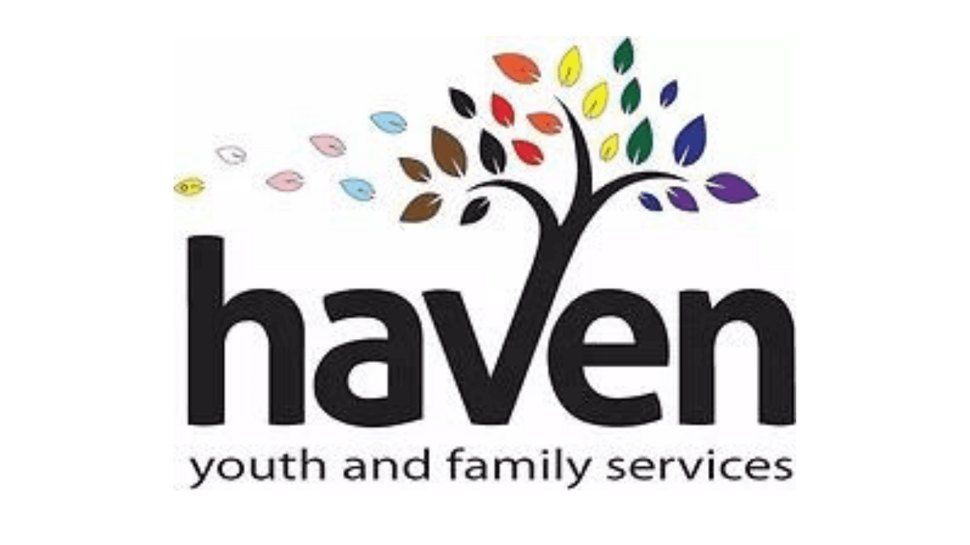 Services | Haven Youth and Family Services | Illinois